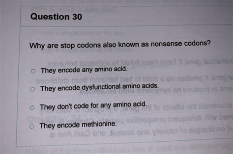 Solved Question Why Are Stop Codons Also Known As Chegg Com