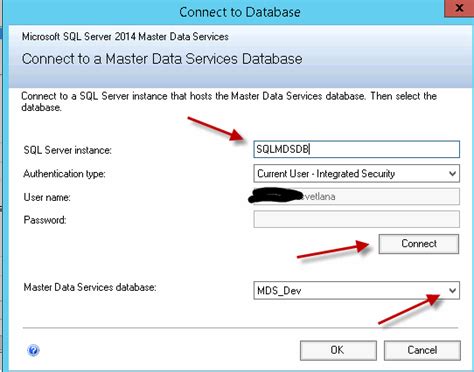 Install And Configure Multiple Instances Of Master Data Services Mds On The Same Server