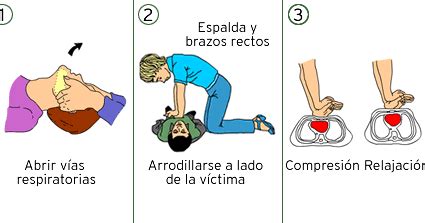 Equipo Verde Primeros Auxilios Abc