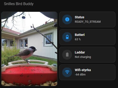 Custom Component Bird Buddy Smart Bird Feeder Custom Integrations