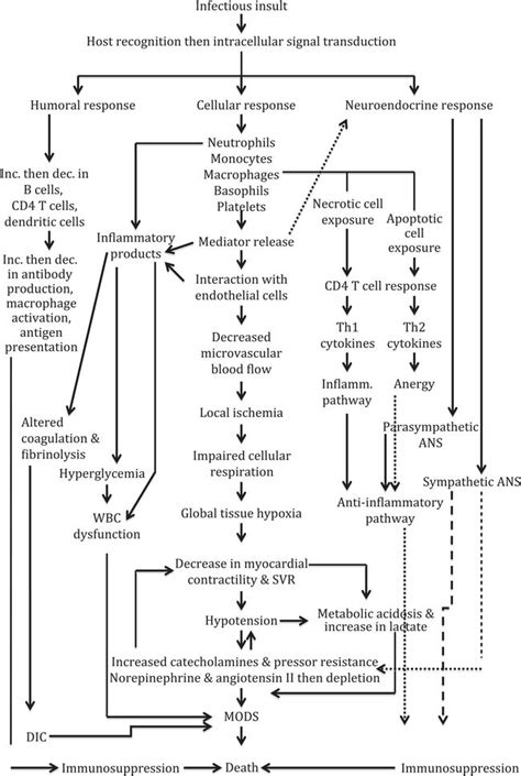 Sepsis Severe Sepsis And Septic Shock Oncohema Key