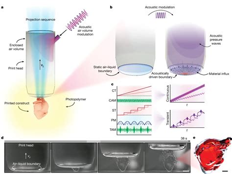 New Dynamic Interface Printing Shows Promise For Volumetric Bioprinting