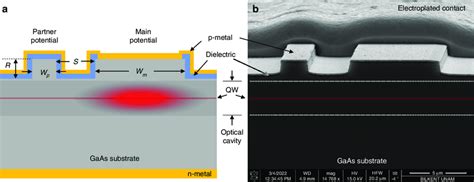 Fabricated Device A Schematic And B SEM Image Download Scientific Diagram