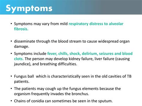 Fungi Yeast Filamentous And Dimorphic Pdf