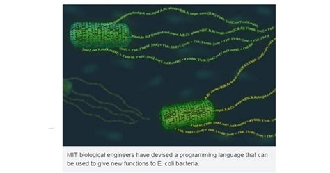 Биоинженери в САЩ създадоха програмен език за живи клетки