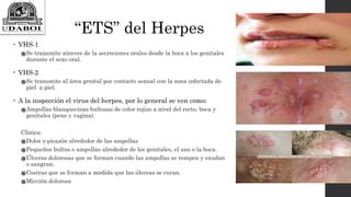 Semiologia De Enfermedades De TransmisiÓn Sexual Pptx