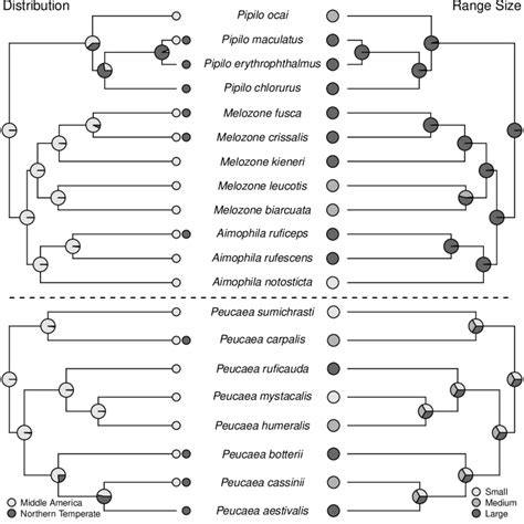 Trait Reconstructions For Geographic Distribution And Range Size In Two
