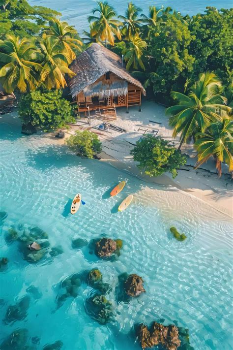 King Of Photos Beautiful Picture 🌿☘️ Beautiful Facebook