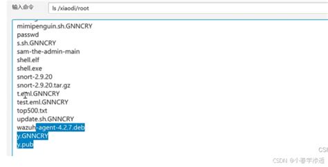 Docker容器逃逸docker Escape Csdn博客