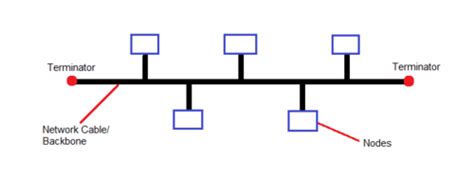 Chapter 2 Networking Flashcards Quizlet