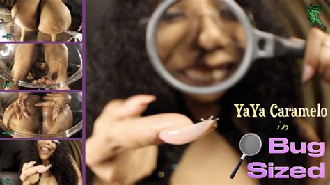 Bug Sized Featuring Yaya Caramelo Sizeplay Productions Clips4sale Bug Sized Featuring Yaya Caramelo Sizeplay Productions Clips4sale