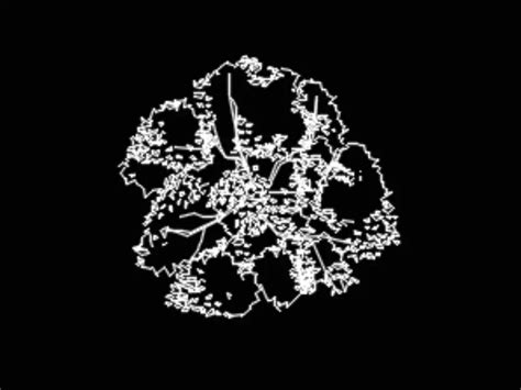 Tree Block For Architectural Top View In Autocad Cad Library