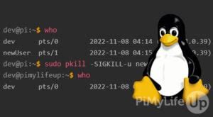How To Logout A User On Linux Pi My Life Up