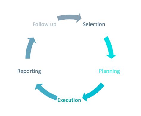 Audit Execution Svetkom