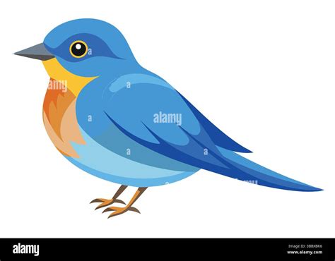 Blue Bird Vector Stock Vector Image And Art Alamy