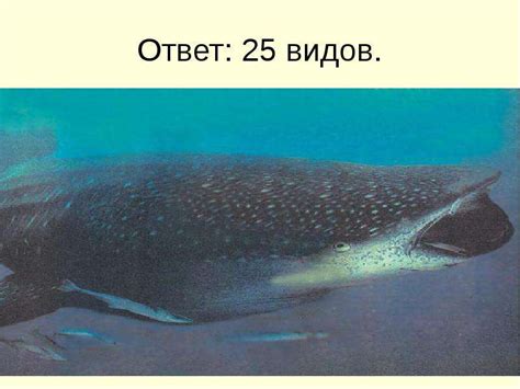 Занимательная математика 4 класс презентация доклад проект скачать