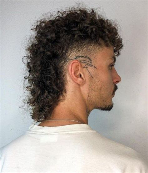 Burst Fade Mullet Curly Hair Embracing Modern Hairstyles