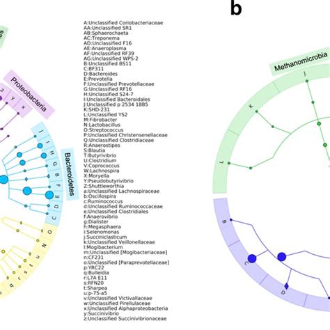 Composition Of Rumen Microbiota In Beef Cattle Bacterial Community