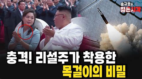 충격 리설주가 착용한 목걸이의 비밀 [젊은시각 하이라이트] Youtube