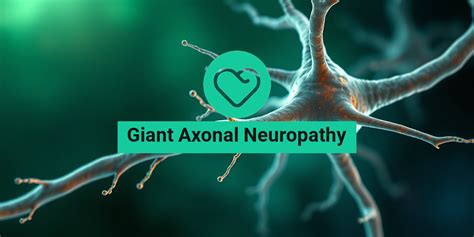 Giant Axonal Neuropathy Understanding Symptoms Causes And Treatments • Yesil Health