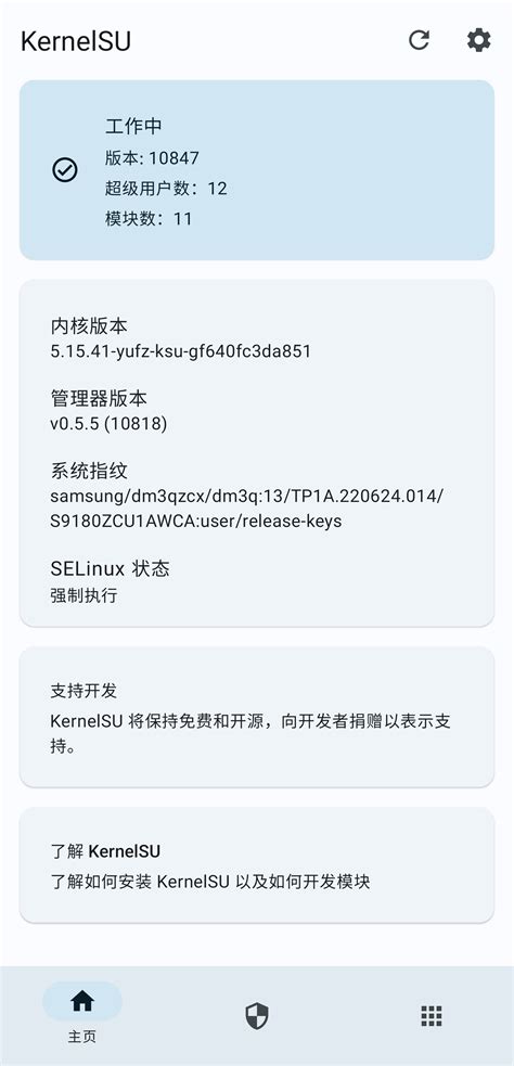 Replace In Customizesh Is Not Replaced · Issue 466 · Tiannkernelsu