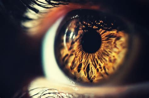 Perception Frame Of Reference For Coach Conner