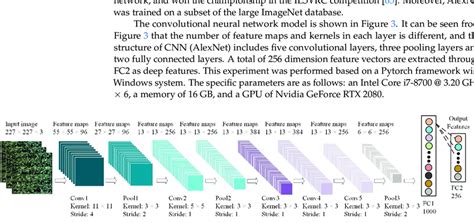Convolutional Neural Network Structure Kernel Represents The Size Of