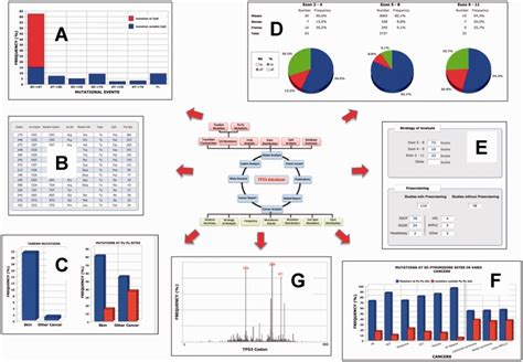 An Overview Of The Various Features Of Tp53 Dbm Invest A