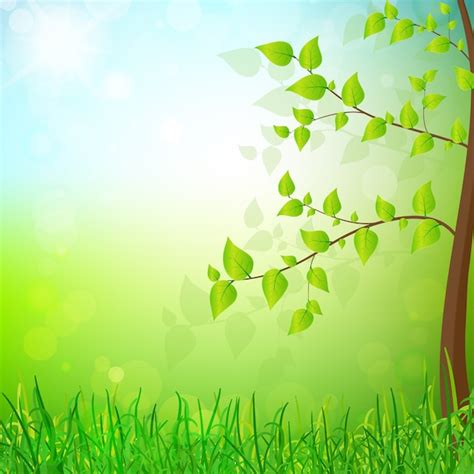 Premium Vector Spring Illustration Background