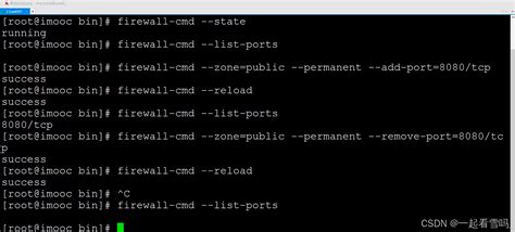 【linux】基本认知全套入门 csdn博客