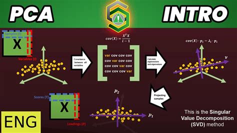 Introduction To Principal Component Analysis Pca For Beginners Youtube