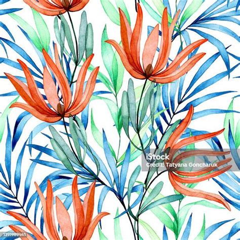열대 꽃과 잎이있는 수채화 이음새가 없는 패턴 투명한 프로테아 꽃과 야자수 잎 밝은 색상 빨간색 녹색 파란색 흰색 배경 0명에 대한 스톡 벡터 아트 및 기타 이미지 Istock