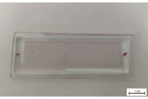 Amplification Of Escherichia Coli In A Continuous Flow Pcr Microfluidic Chip And Its Detection