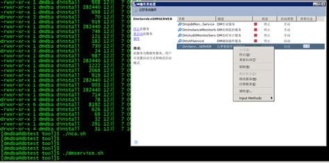 linux和windows平台达梦8数据库启动关闭方式 达梦iso怎么退出 csdn博客