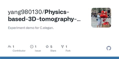 Physics Based 3D Tomography Multi Slice Neural Network Nn Model Py At