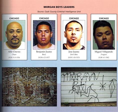 Laraza Chicago Gang Book