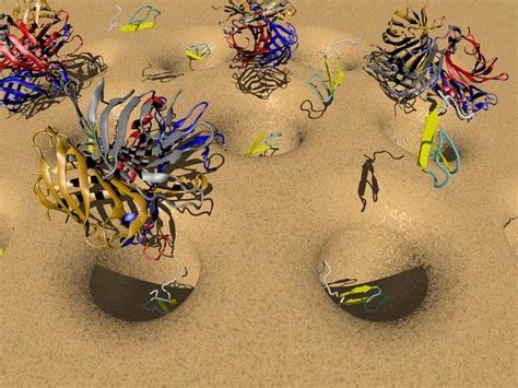 The Targetproteins Are Selectively Captured By A Well Structured