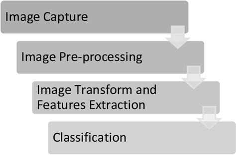 The Classification Process Download Scientific Diagram