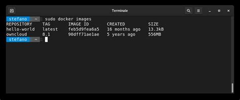 Usare Docker Gnulinux E Software Open Source