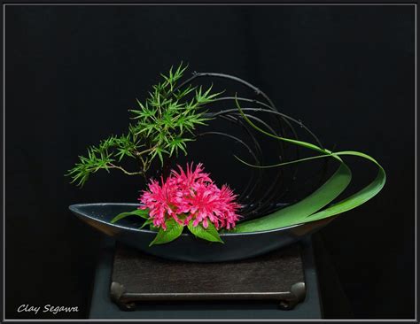 Ikebana Arrangements Ikebana Flower Arrangement Flower Vases Floral Arrangements Ranunculus