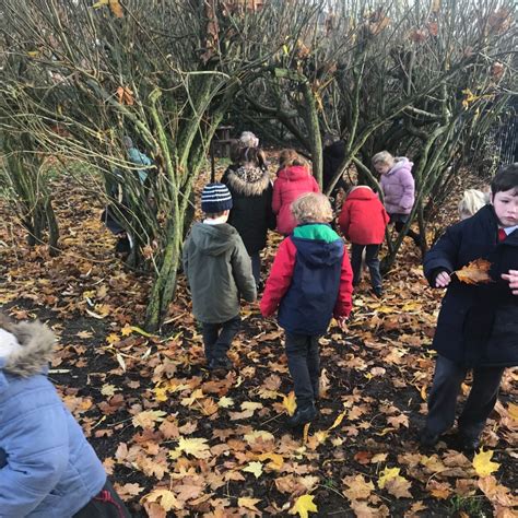 Halam C Of E Primary School Collecting Leaves