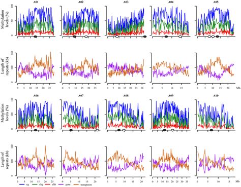 Genome Wide Distribution Of Methylation Level Transposon And Gene Download Scientific Diagram