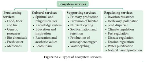 Functions Of Ecosystem Diagram Ecosystem Ebola Evd Slideshar
