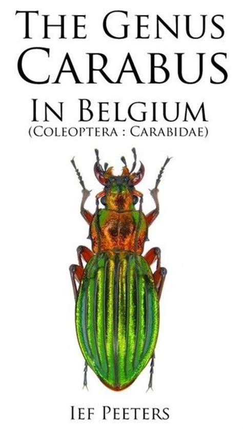 The Genus Carabus In Belgium Coleoptera Carabidae Nhbs Academic And Professional Books