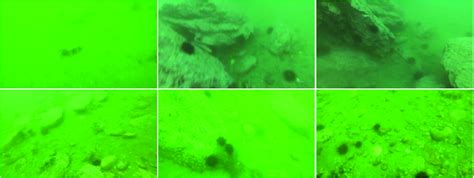 Degraded Underwater Images In Urpc2018 Images Taken Underwater Usually Download Scientific