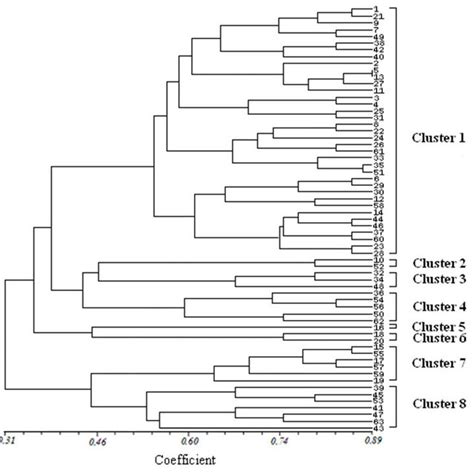 Dendrogram Showing The Relationship Among 63 Genotypes Naked Barley