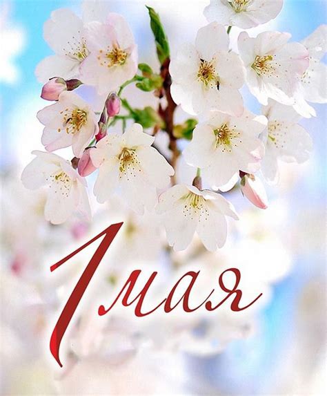 Поздравление с Первомаем Открытка с пожеланиями весны и мира