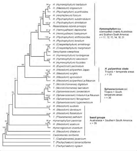 Single Most Parsimonious Tree Recovered From Unequally Weighted