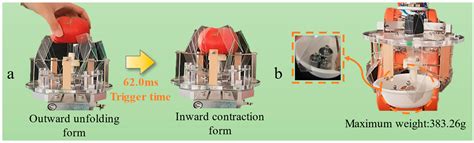 A Tomato Recognition And Rapid Sorting System Based On Improved Yolov10