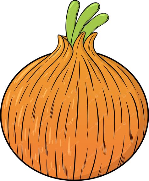 양파 클립 아트 양파 양파 만화 채소 Png 일러스트 및 Psd 이미지 무료 다운로드 Pngtree